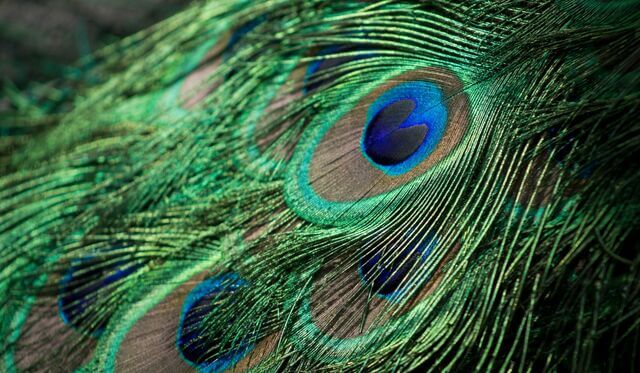 Michelle's Sanctuary | Insight Timer