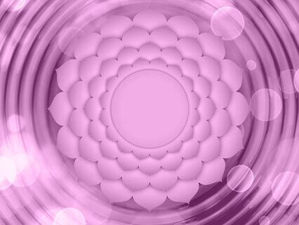 Guided Meditations for Chakras | Insight Timer