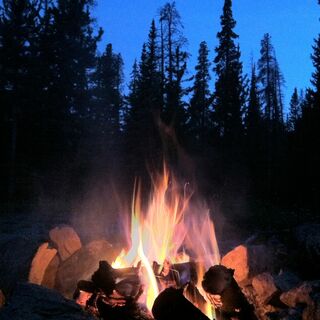 Bedtime Camping in the Forest Experience for Children | Neta