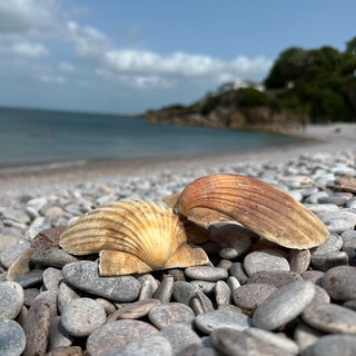 Mindful Pebble Play By The Sea - Grounding Beach ASMR | Ryan Garner