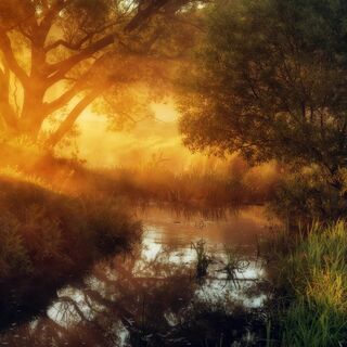 Guided Sleep Meditation: Ultra Deep Relaxation In 10 Minutes | The ...