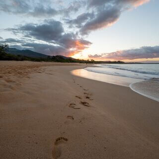 Recalibrating Your Trauma Triggers: A Guided Exercise | Dr Traci Moreno