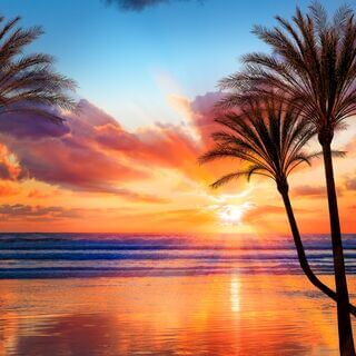 Golden Light Protection Deep Sleep: 285 Hz Energy | Frankie P