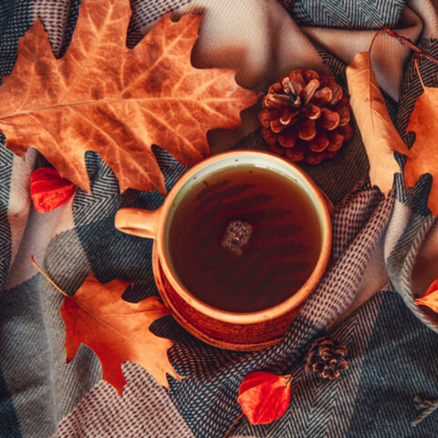 21 Days To Reduce Anxiety | Insight Timer