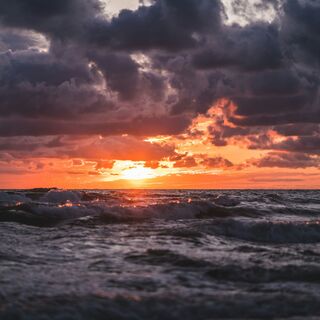 Building Resilience With Intention, Mindset & Breath | Tyrell Mara