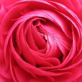 The Nine Powers Of Women: The Power Of Beauty | Ana Barreto