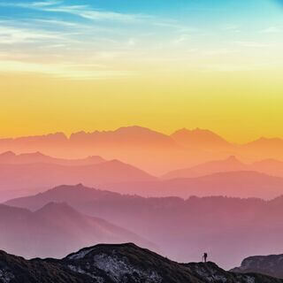 Learn About Bald Eagles | Benjamin Boster