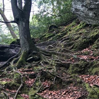 Noku Mana (Huni Kuin Tribe) | Lorien Nemec