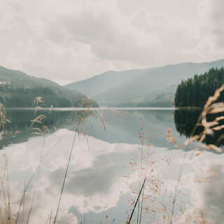 Anxiety | Insight Timer