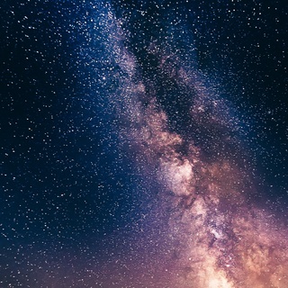 Nervous System | Benjamin Boster