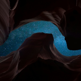 Learn About Bats | Benjamin Boster