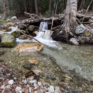 Mt. Baldy Series: Tiny Waterfall | Michael Castañeda