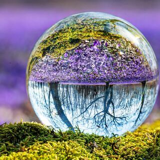 Walking With The Witch | Insight Timer