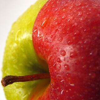 Decision-Making - What Do I Do? | Eva Payne