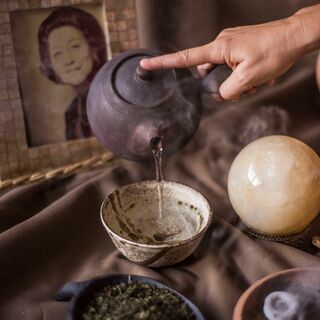 Green Medicine-Beginner Course In Herbs | Insight Timer