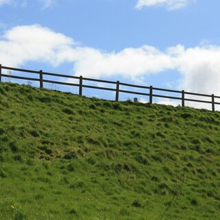 Reflection For Intention Setting And Blooming Insights | Jenni Koho