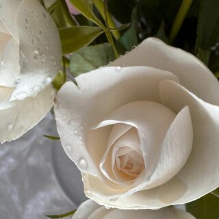 Managing The Process Of Death & Dying | Traci Moreno