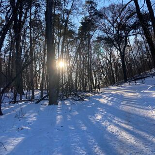 Ground, Protect And Connect Into Blue Star Yoga Nidra | Jennifer Engler