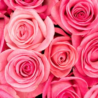 Boost & Balance Your Heart Chakra - Guided Energy Meditation | Maria Rinné