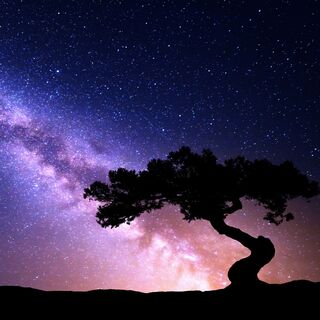 Deep Sleep Meditation To Release Tension | Dr Salone Goodman