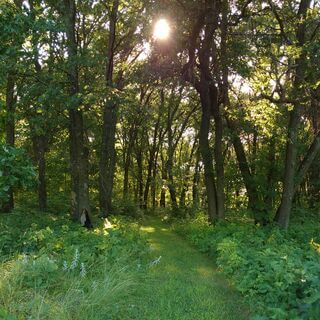 The Ten Ox Herding Pictures As Practice Instruction, 1-4 | Sosan ...