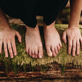 Sensory Forest Immersion - Open Your Senses In Nature | Maeve Jones