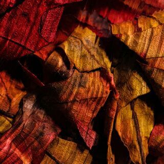 Reframing Anger As Coding Inefficiency • No Music • V2.9 | Jane Galluzzi