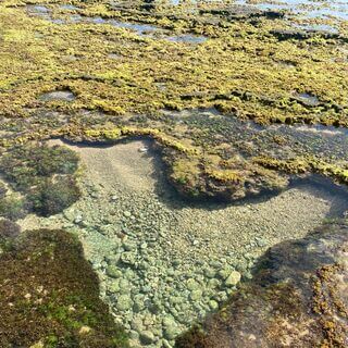 Breathing Meditation For Living With Loss | Nikola Simpson