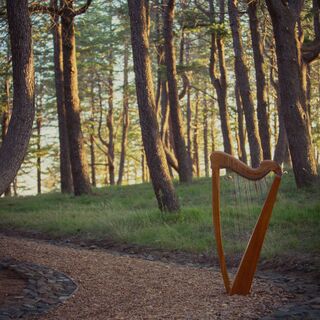 The Harpist And The Labyrinth | Alison Ware