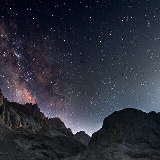 Discover Your Missing Element & How It May Be Affecting You | Dr Traci ...