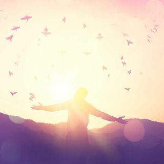 Meditation: cultivate the right perspective | Monica Breen