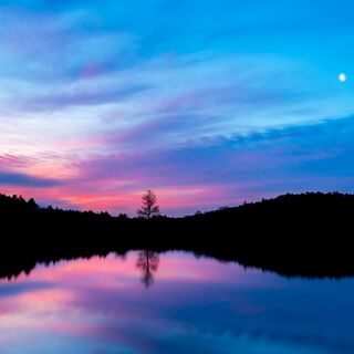 Go Back To Sleep With Ease Meditation | Jason Stephenson