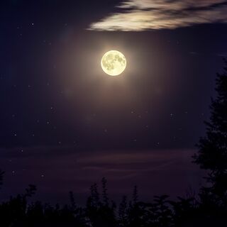 3-6-9 Code With 369 Hz Tuning Fork + Delta | Kara Sherman