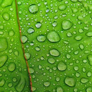 Powerful Technique To Reduce Stress | Corina Simionescu