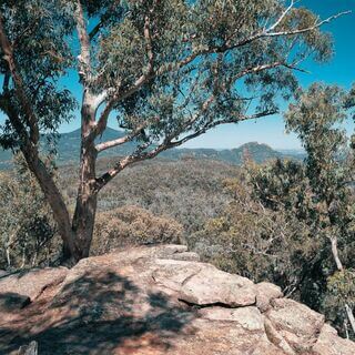 Three Steps Towards Healthy Breathing | Insight Timer