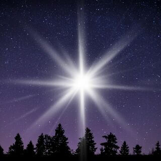 Stillness | Alison Crofton