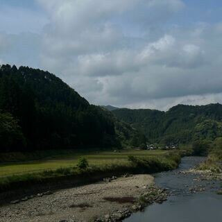 Figuring Out The Now | Lach Thomson