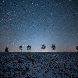 Looking at the Stars | Marcus C Dolan