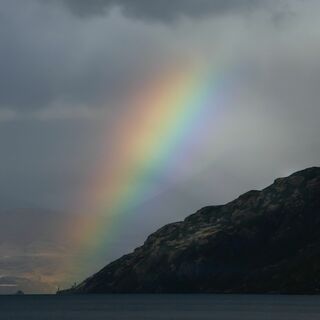 Rain Shower & Wind Dunedin New Zealand | Free To Use Sounds