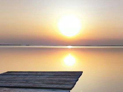 Nervous System Reset | Sarah Hofing