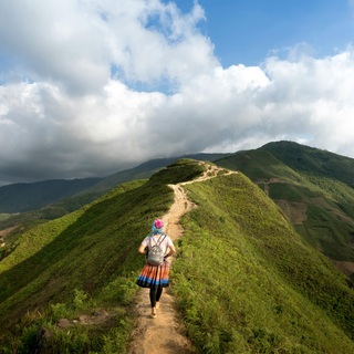 The Road To Recovery: Conquering Pain Through The Body Scan | Insight Timer