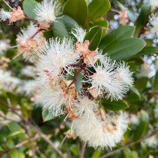 Learn How To Feel Your Emotions | Insight Timer