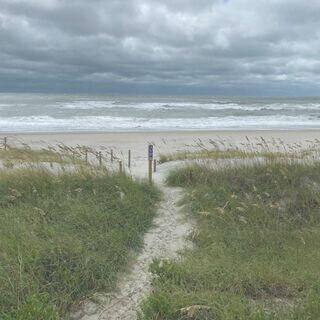 Calm Your Nervous System With Gentle Hand Movements | Susan Van Note