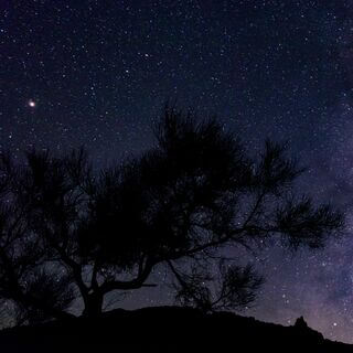 Yoga Nidra Practice (Condensed Version) | Freebird Meditations