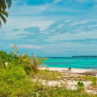 Sleep Story: Whispers Of The Island | Alexander Moller