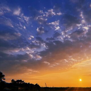 Self-Forgiveness Meditation | Jesse Bax