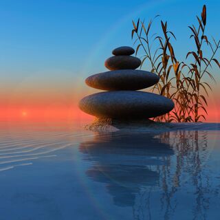 Opening To Your Unpleasant Feelings | Meredith Hooke