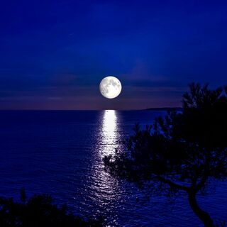 Full Moon Release & Renew Meditation | Rae Caroline Calnan