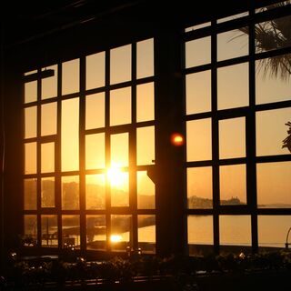 The Golden Windows | Mandy Sutter