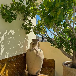 Mindful Observation Of Everyday Objects | Stephanie Pericich